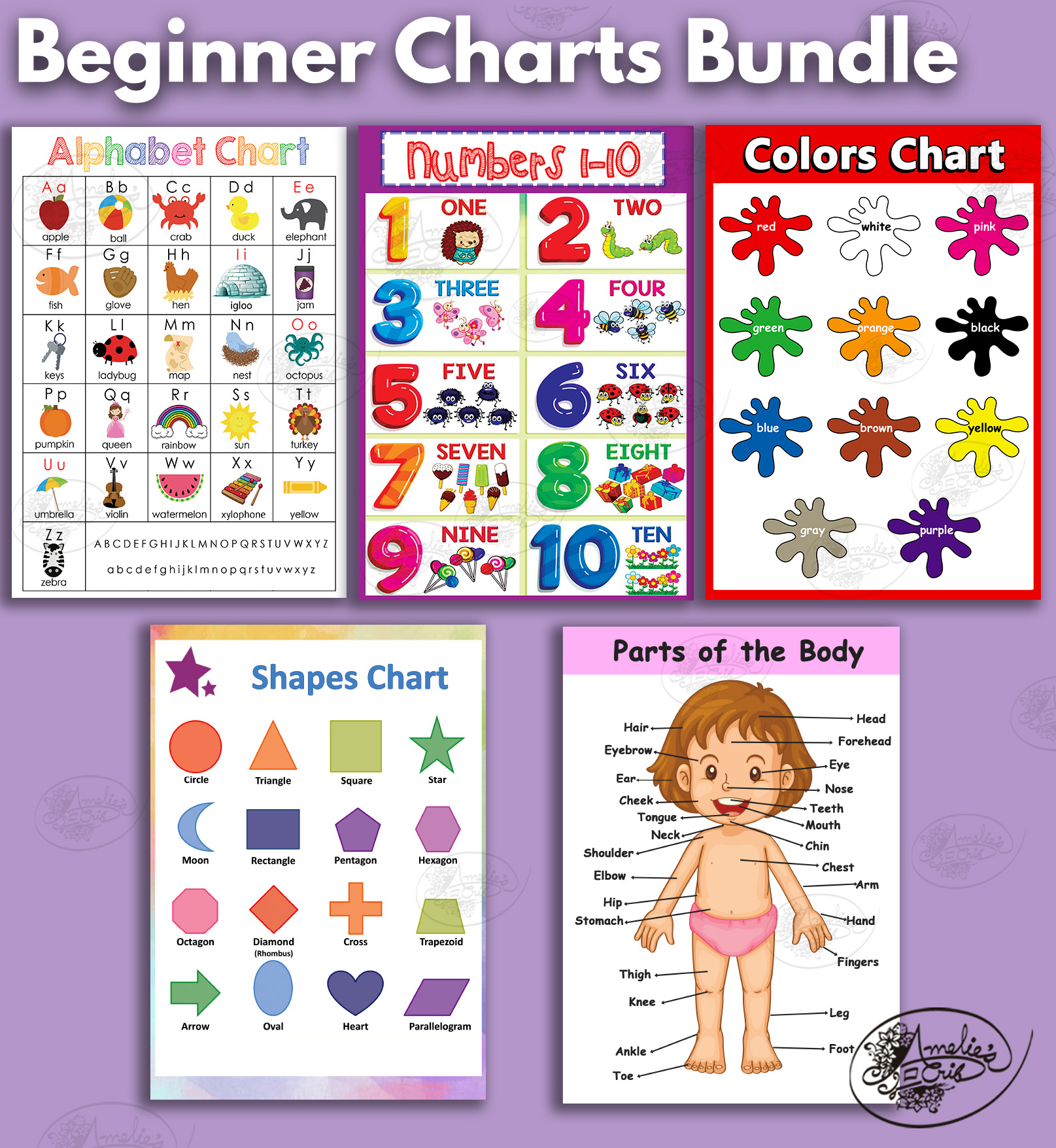 Toddlers Alphabet Colors