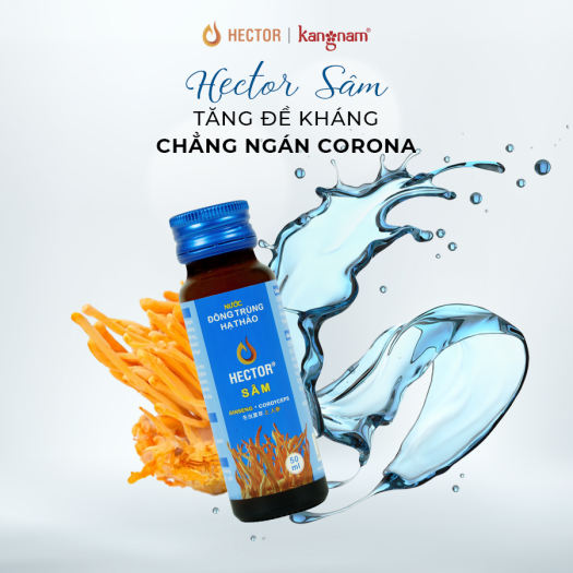 Nước Đông Trùng Hạ Thảo Kết Hợp Sâm Hector Cordyceps Ginseng 10 chai ...