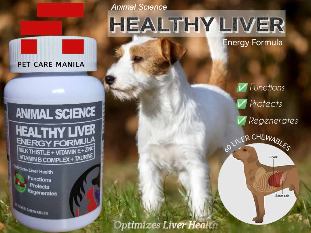 Animal Science HEALTHY LIVER Energy Formula, 60 liver chewable tablets