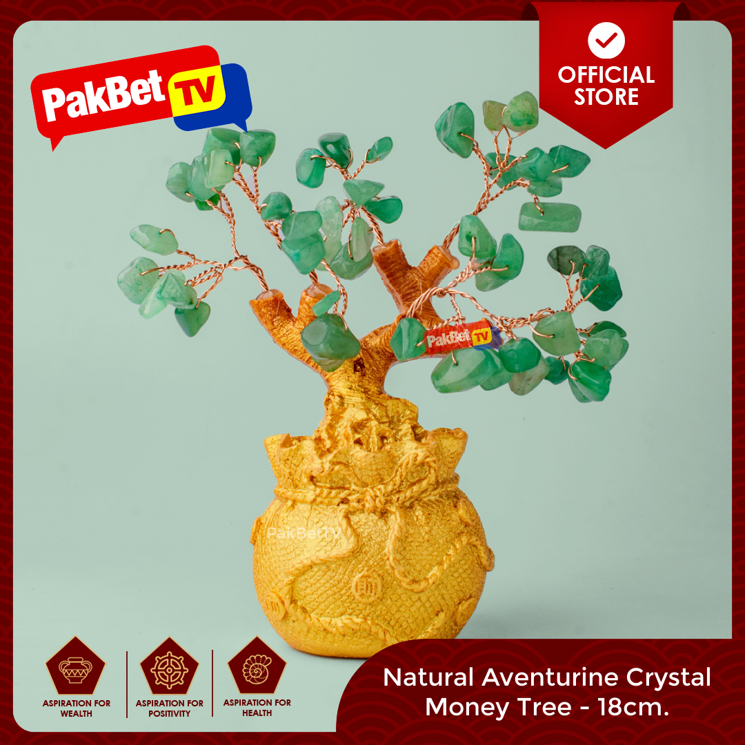 Natural Aventurine Crystal Money Tree 18cm | Feng Shui by PakBet TV