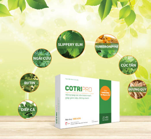 Viên uống Cotripro giúp tăng sức bền thành mạch, giảm triệu chứng trĩ ...
