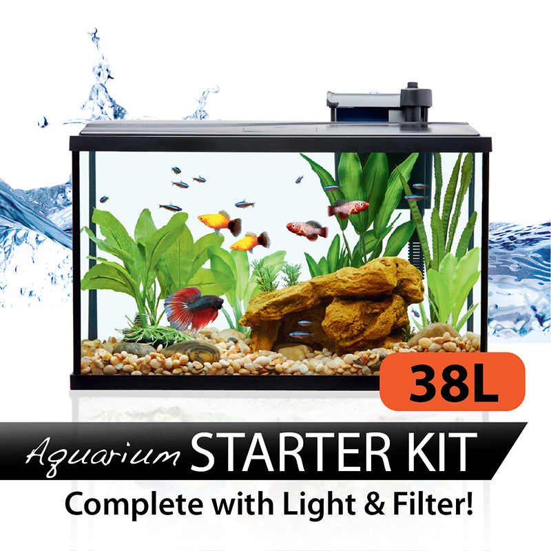 Marina 10 Gallon Led Aquarium/fish Tank Unboxing | atelier-yuwa.ciao.jp