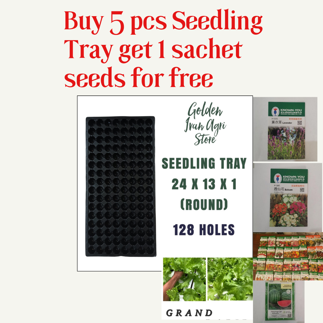 Seedlin Tray 5 pcs Plus 1 sachet Seeds free