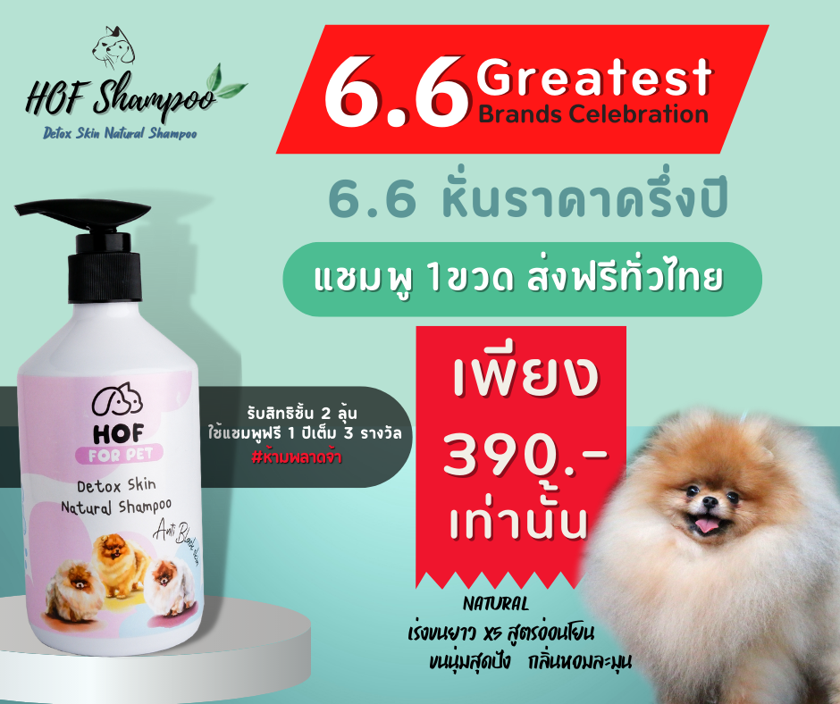 6.6ขายดี!! ท้าให้ลอง Hof แชมพู1ขวด เร่งขนยาวสำหรับปอมเมอเรเนี่ยน ดูแล ...
