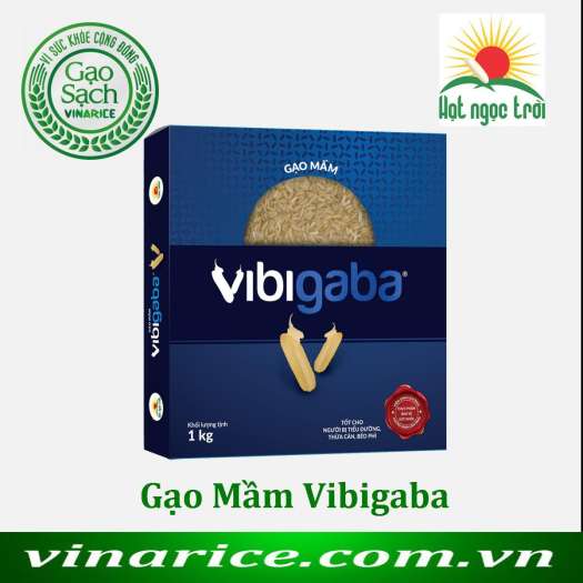 Combo Gạo Mầm Vibigaba - bảo vệ sức khỏe - 12 hộp x 1kg (nguyên thùng ...