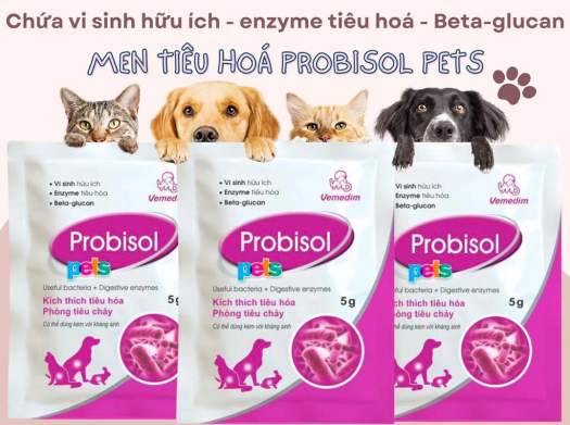 Men tiêu hóa Probisol cho Chó Mèo - Hỗ trợ rối loại tiêu hóa, cân bằng ...