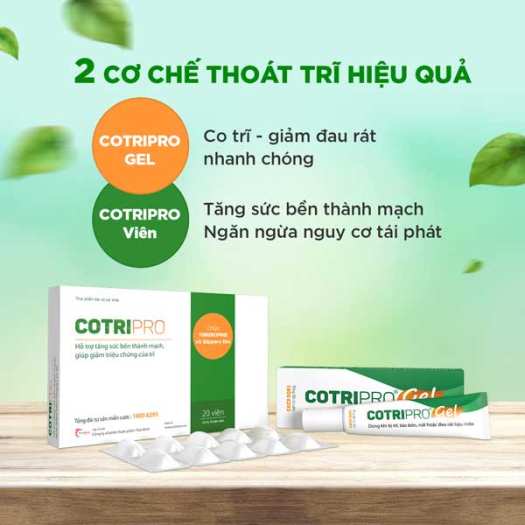 Viên uống Cotripro giúp tăng sức bền thành mạch, giảm triệu chứng trĩ ...