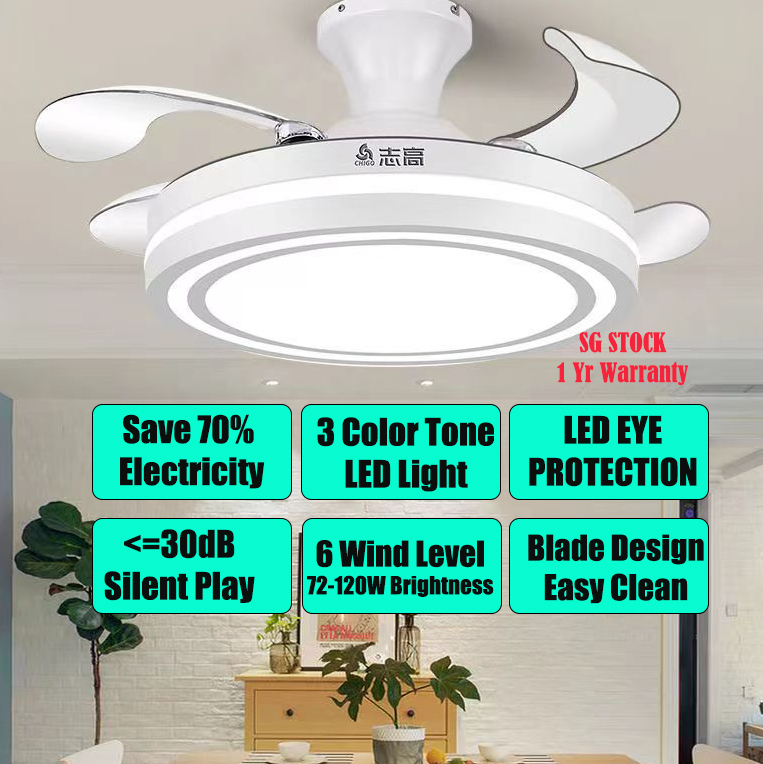 Battery Powered Ceiling Fan And Light | Shelly Lighting