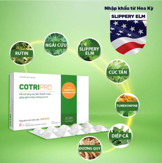 Viên uống Cotripro giúp tăng sức bền thành mạch, giảm triệu chứng trĩ ...
