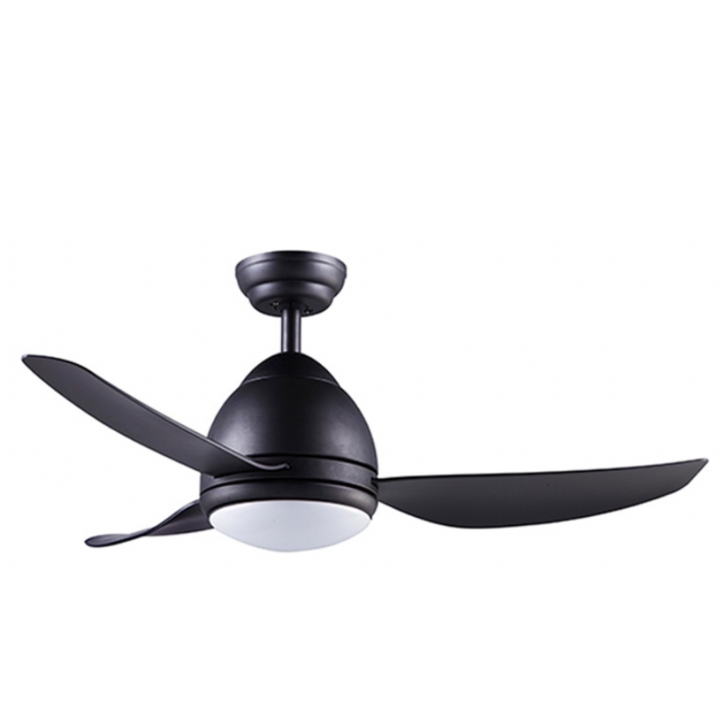 Samaire Ceiling Fan Singapore Review | Shelly Lighting