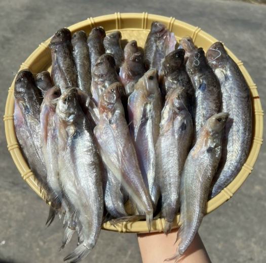 1kg KHÔ CÁ TRÈN BẦU, KHÔ CÁ KẾT ĐẶC SẢN NGON MIỀN TÂY- Cá chiên thơm ...