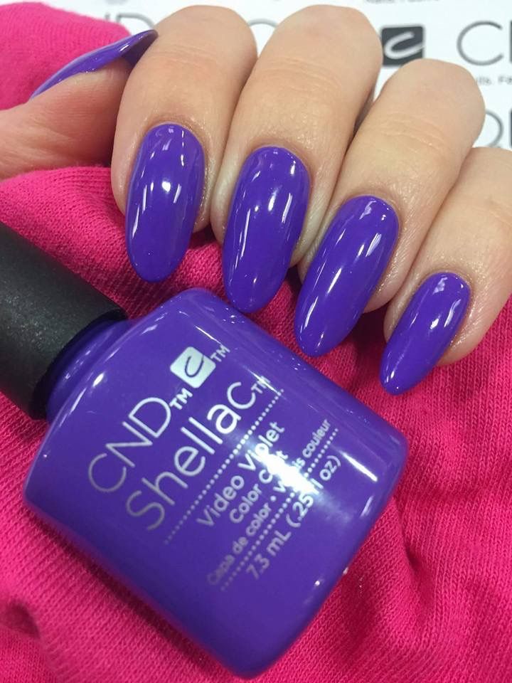 Shellac Purple Purple