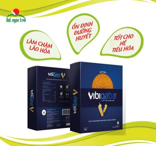 Combo Gạo Mầm Vibigaba - bảo vệ sức khỏe - 12 hộp x 1kg (nguyên thùng ...